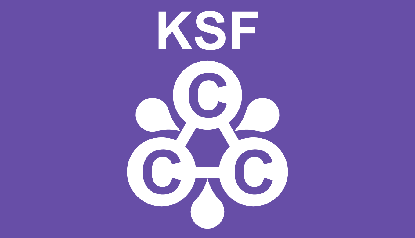 3C分析とKSFに基づく企業戦略：大前研一の戦略的三角関係